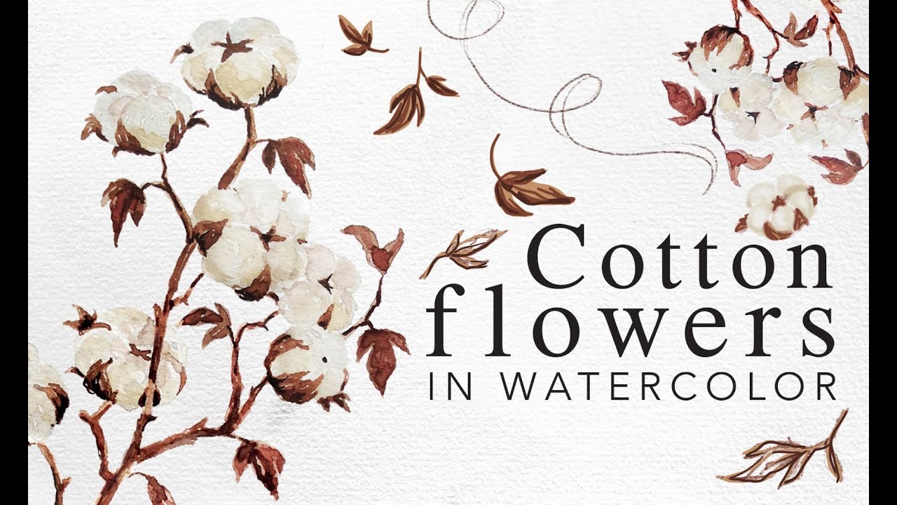 Cotton Flower: Step by Step Watercolor Tutorial - YouTube