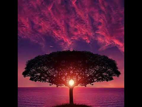 O senin için yasak dediler