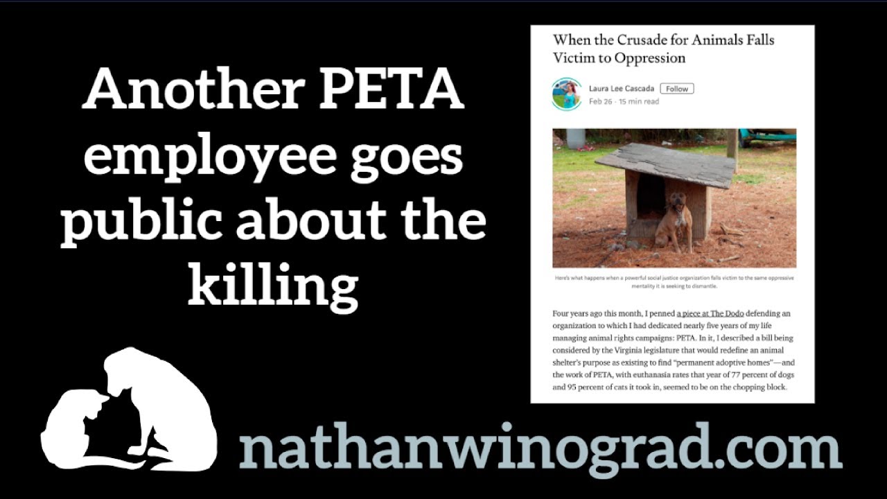 "Terrifying" - Another PETA Employee Goes Public - YouTube