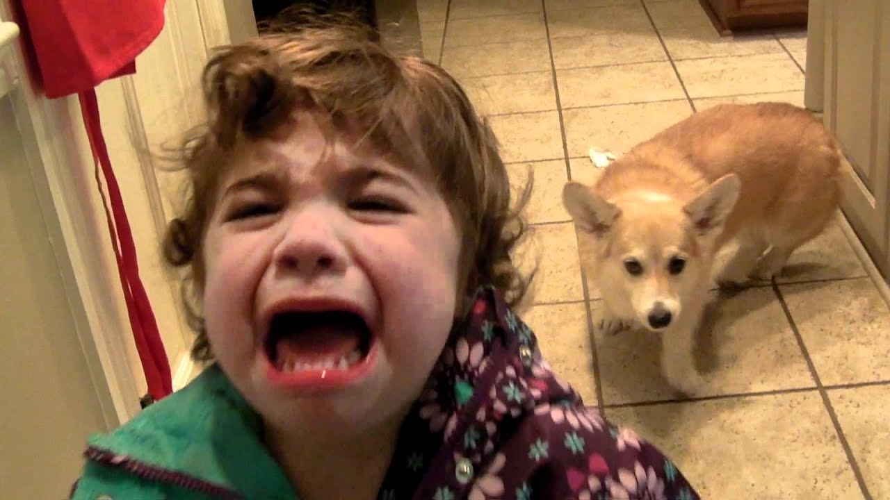 Phoebe, Balloon and Gracie.MP4 - YouTube