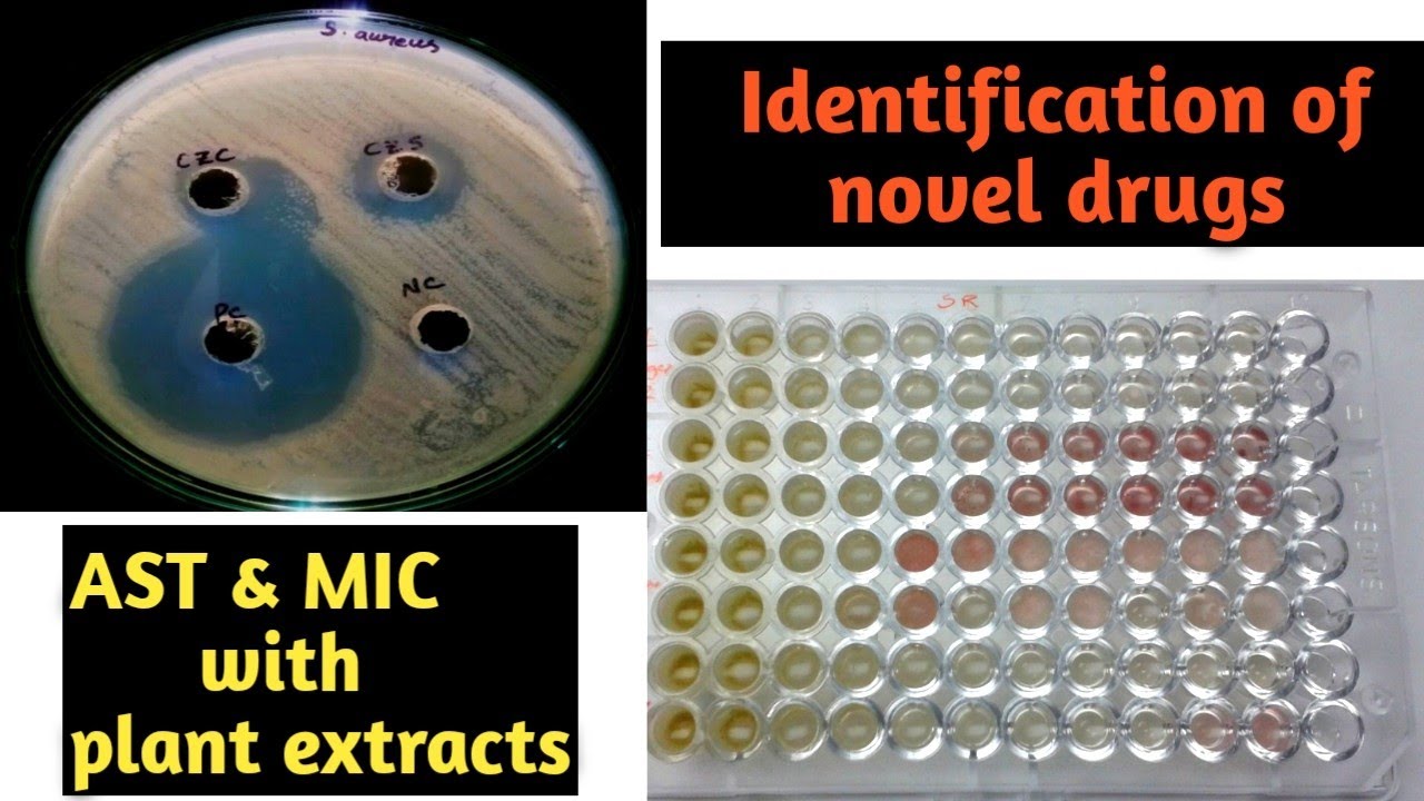 Research topic # identification of novel antimicrobial drugs # AST ...