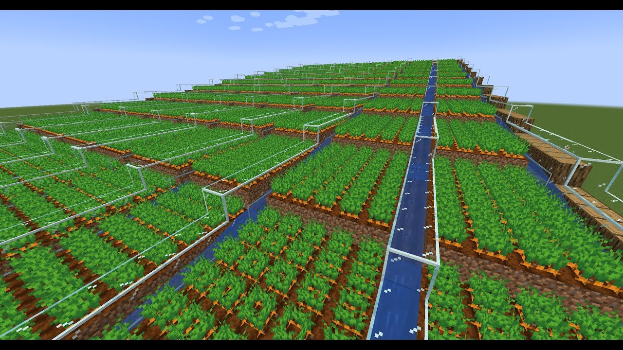 largest carrot farm in minecraft - YouTube