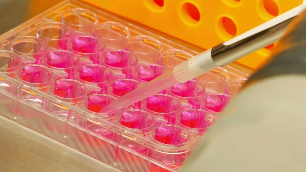 Advanced Stem Cell Therapy for New York | SCMC