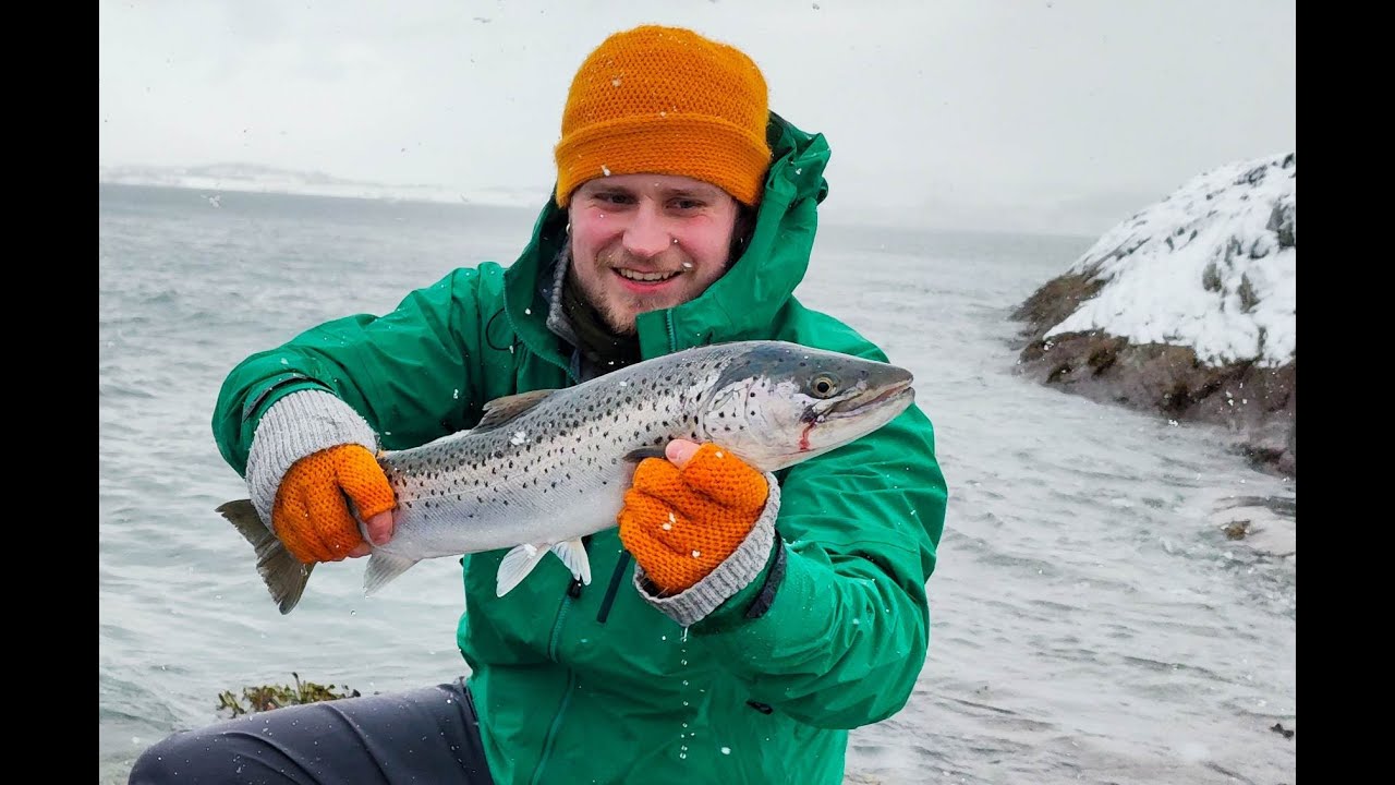 Sjøørretfiske i Trondheimsfjorden-Skognfolkehøyskole - YouTube