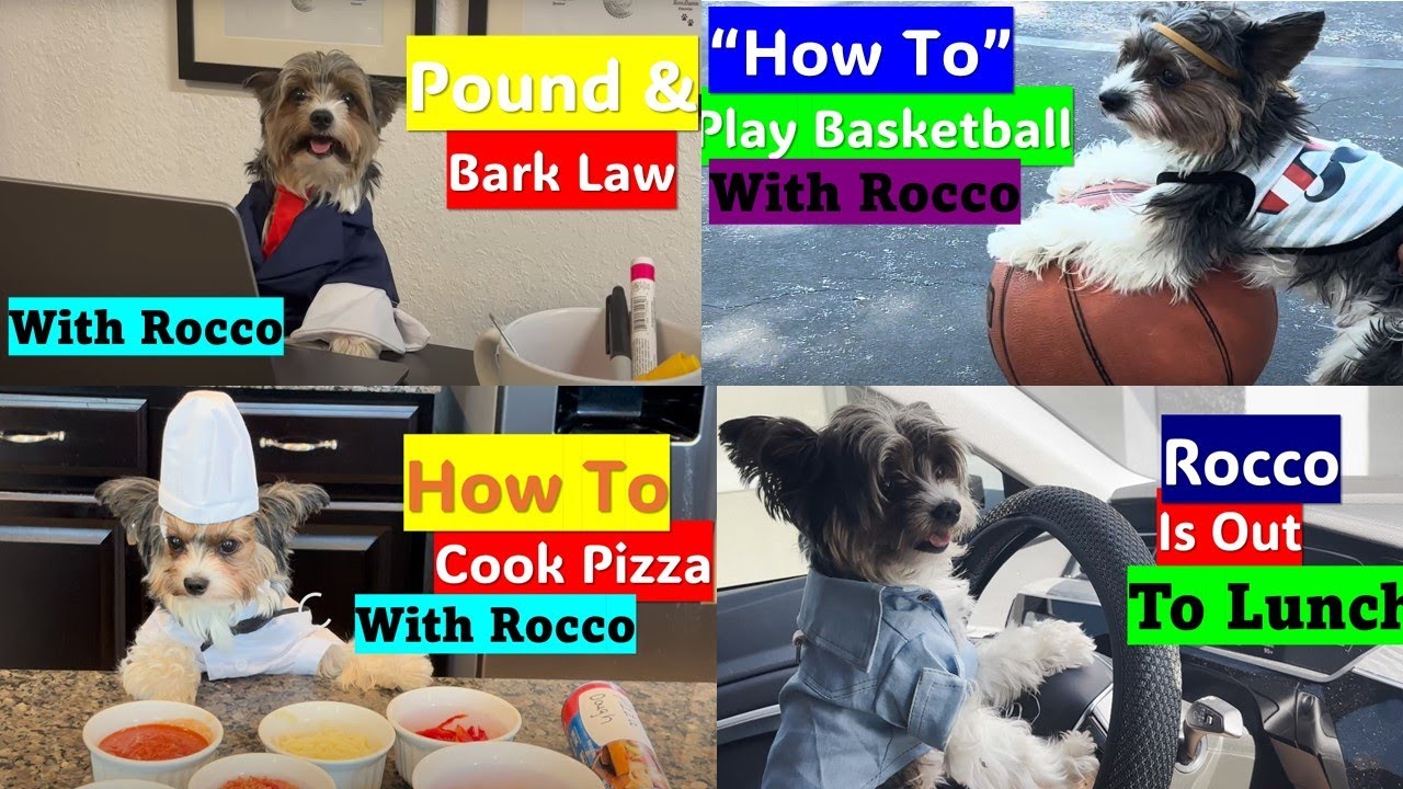 Best of Rocco D Vol Two - YouTube