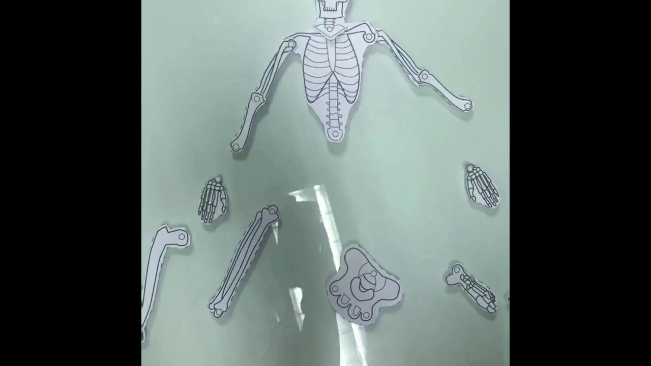 Skeleton assembly - YouTube