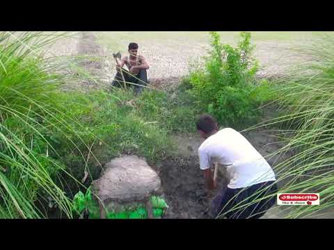 Do Bhaiyon Ka Pani ke liye Jherra | Saraiki Funny Drama Clip