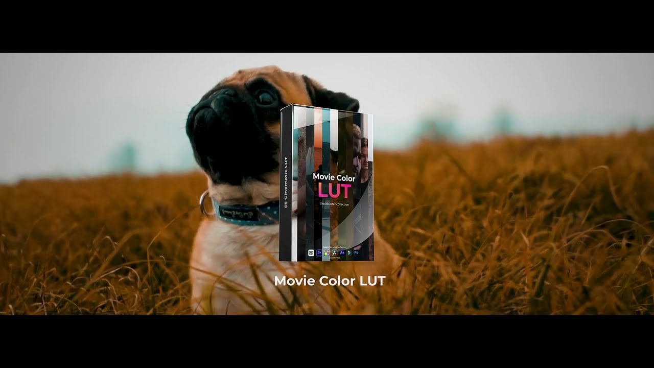 Movie Color LUT pack | CapCut, After Effects, Premiere Pro, Fcp ...