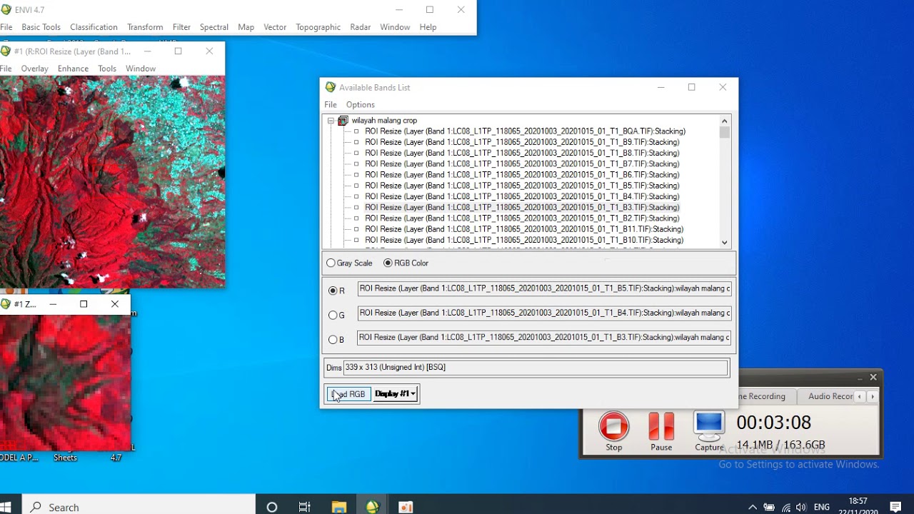 Interpretasi Vegetasi NDVI menggunakan Envi Classic - YouTube