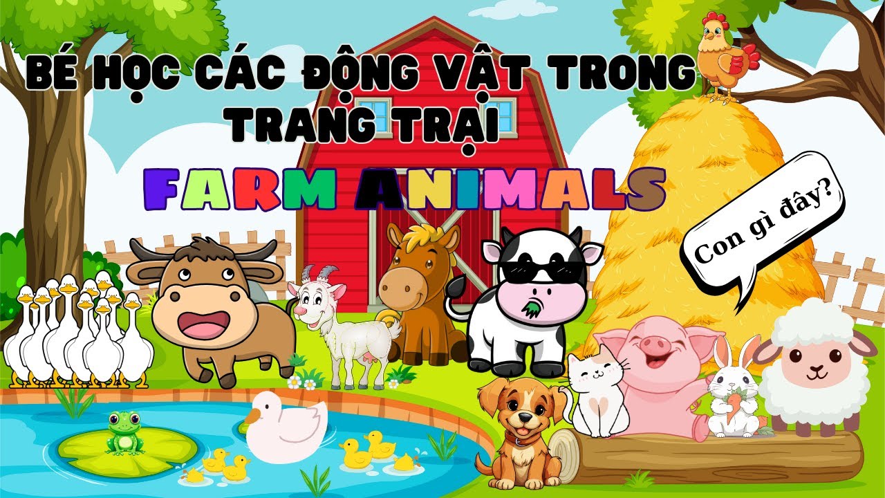 Động vật trang trại cho bé || Con gì đây? || Farm animals || Vui học cùng Nơ - YouTube