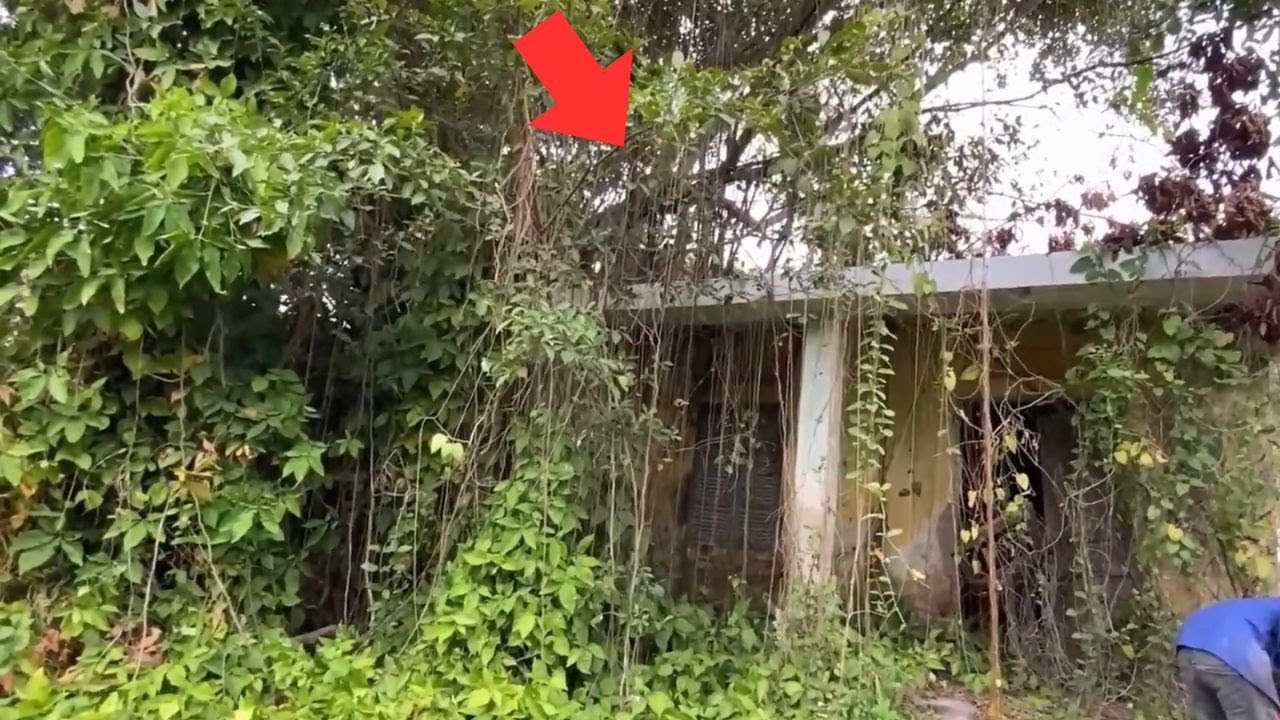 Panic Attack | Cleaning Up a Snake-Infested House of a Single Mom of 20 ...