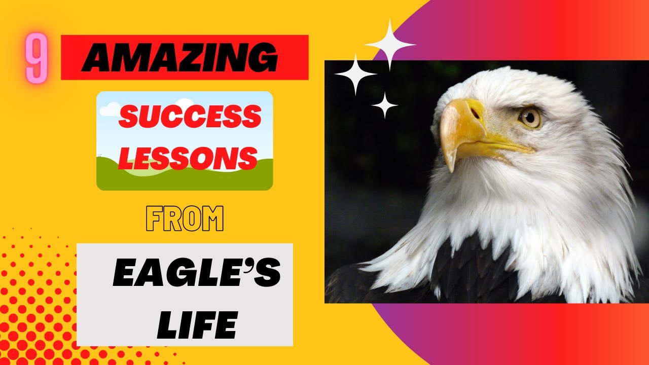 9 Amazing Success Lessons from Eagle's Life - YouTube