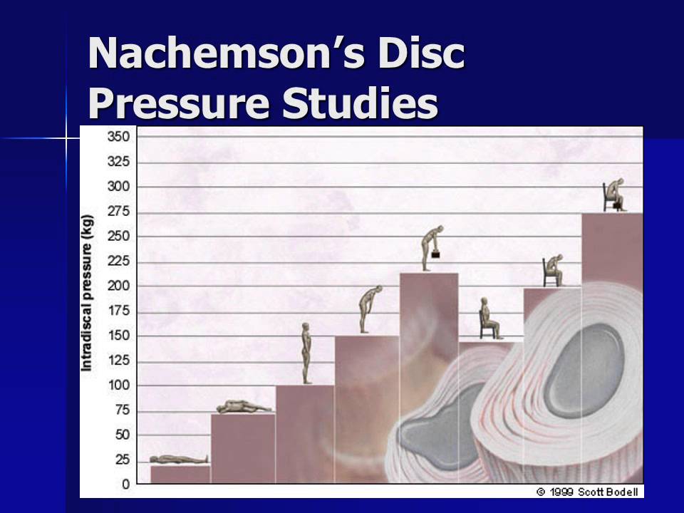Lumbar Spine 1 Anatomy & Mechanics Fall 2013 voice over pp - YouTube