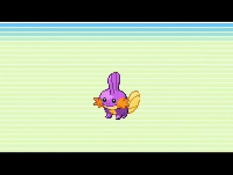 🌟 Shiny Mudkip evolves | Pokemon Emerald Pokedex No.007 - 009 - YouTube