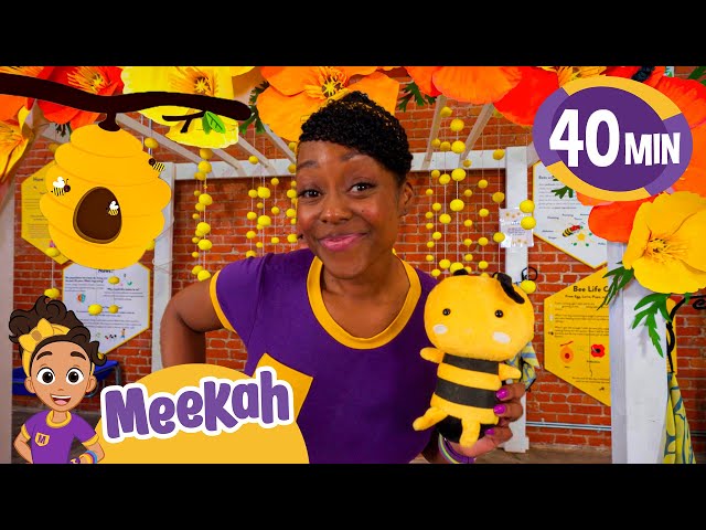 Ms Meekah's Lesson at the Museum! | Educational Videos for Kids ...
