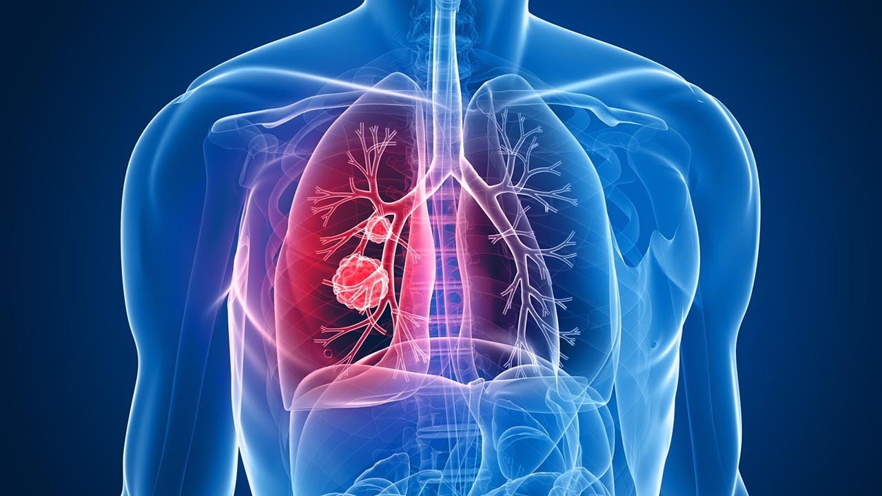 Scientists Have Just Discovered A New Organ In The Human Body YouTube scientists-have-just-discovered-a-new-organ-in-the-human-body-youtube