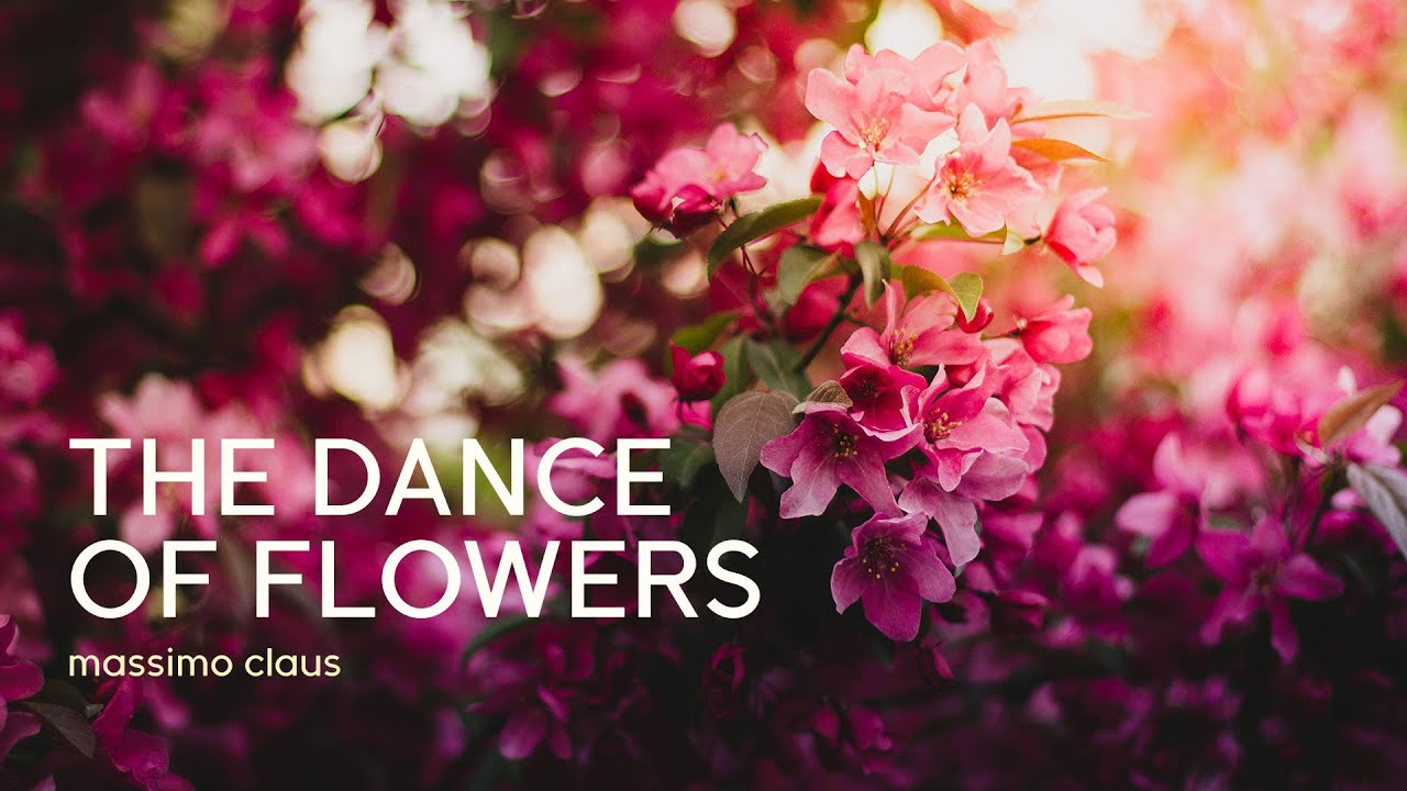 The dance of flowers | 2 HOURS relaxing ambient, meditation sleep ...