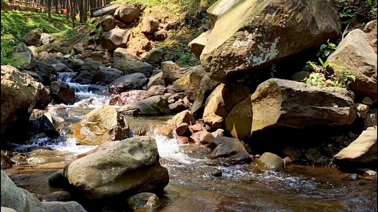 ASMR River Therapy: Blissful Water Sounds to Melt Away Stress and Anxiety | LuLu Sounds - YouTube