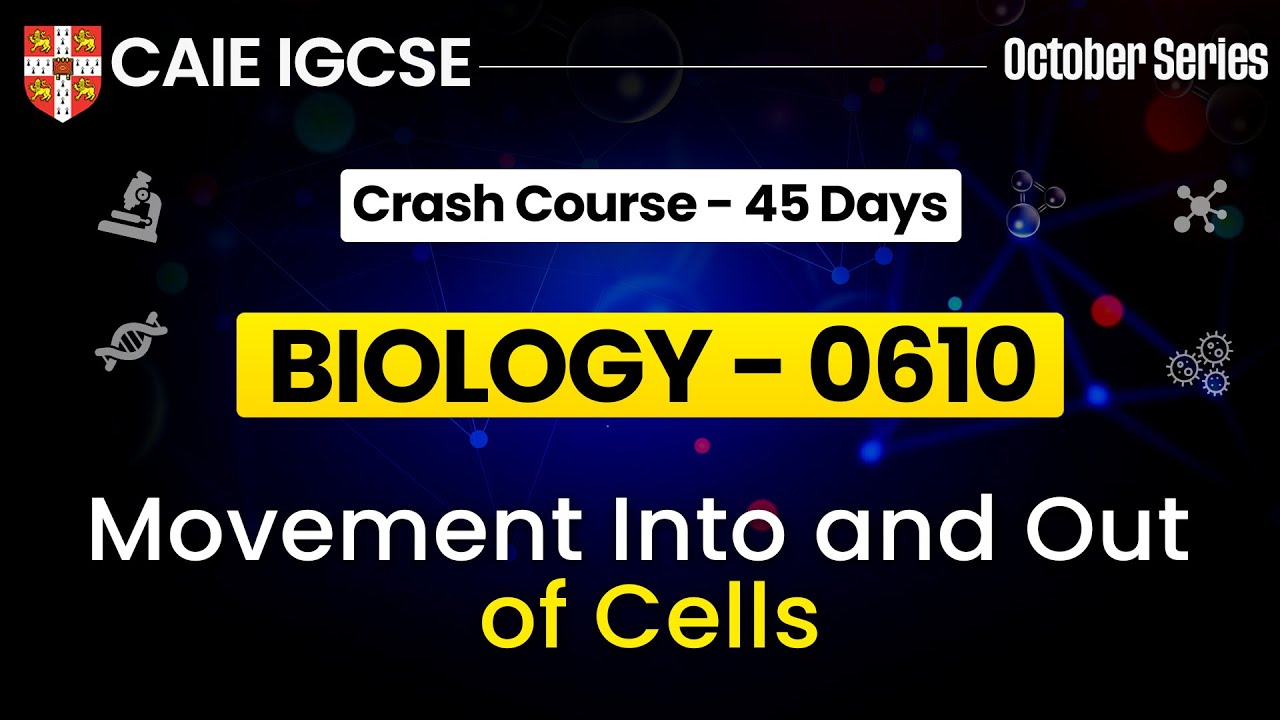 IGCSE Biology 0610: Movement Into And Out Of Cells | Cambridge IGCSE ...