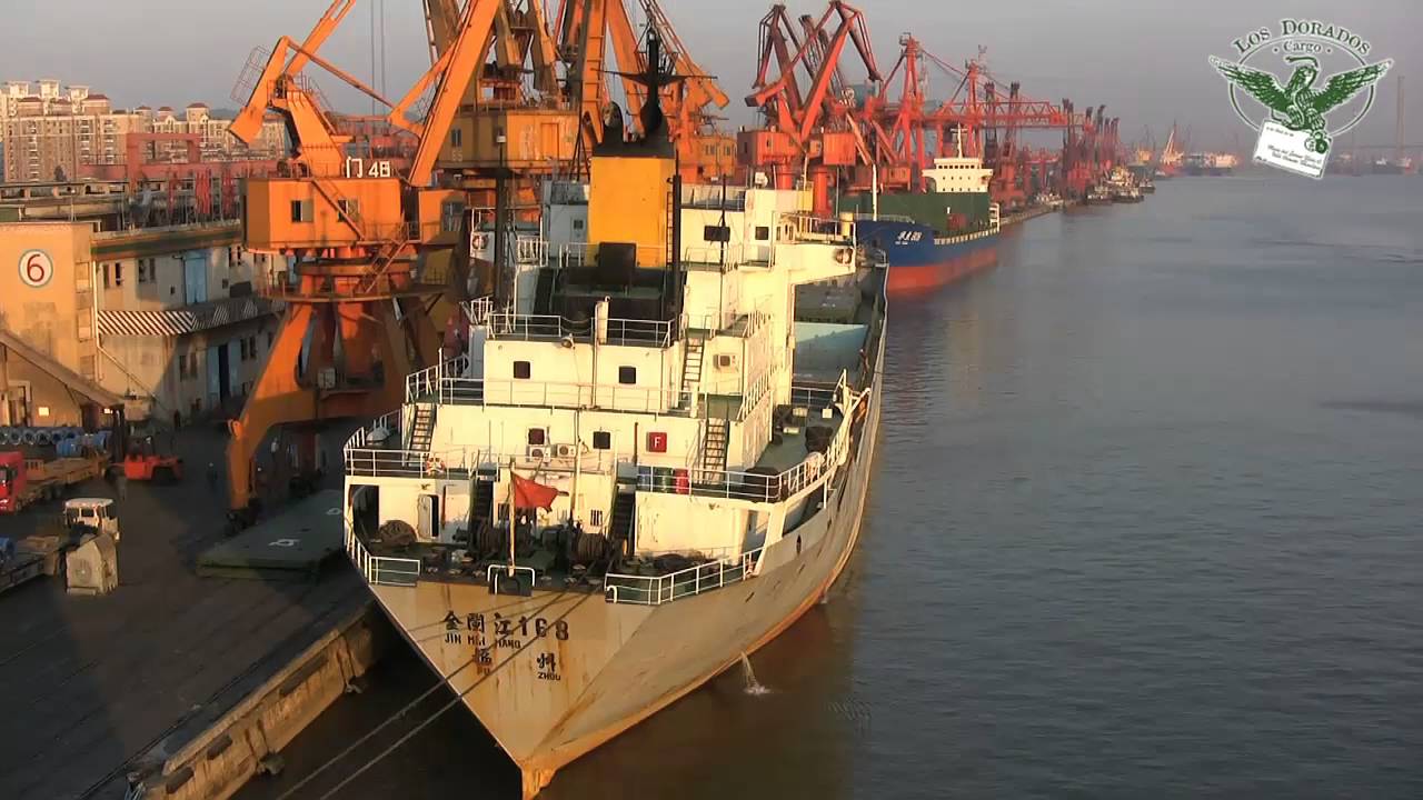 Los Dorados Cargo :: Carga Marítima a Colombia - YouTube