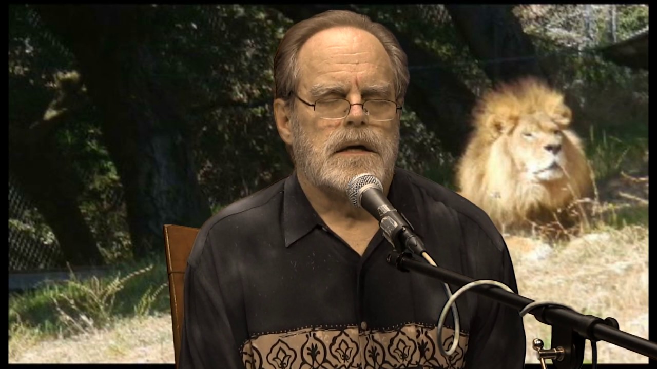 Muzic Zoo Patrick Twomey - YouTube