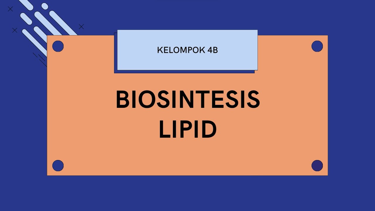 KEL 4B ll BIOSINTESIS LIPID ll BIOKIMIA 2 - YouTube