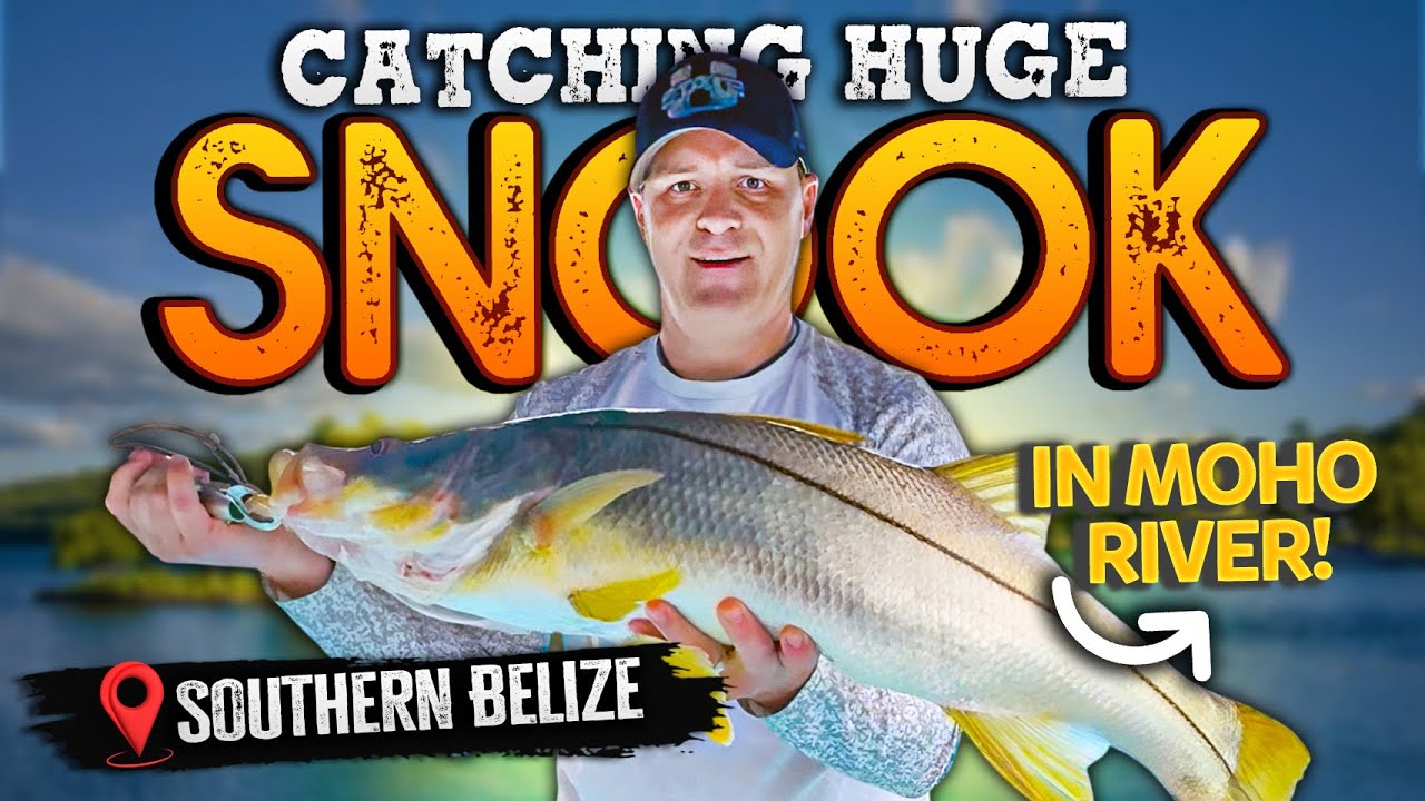 River Fishing In Belize Jungle for Big Snook - Moho River Fishing - YouTube