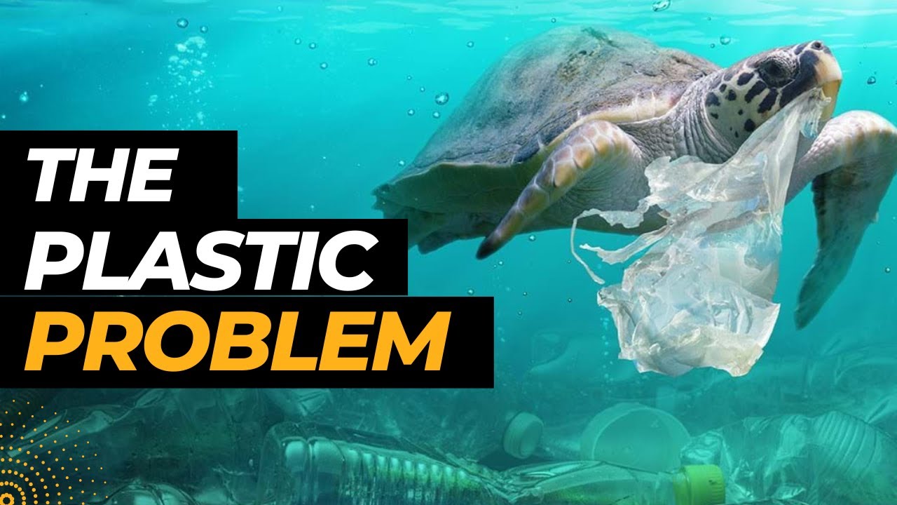 The plastic pollution - YouTube