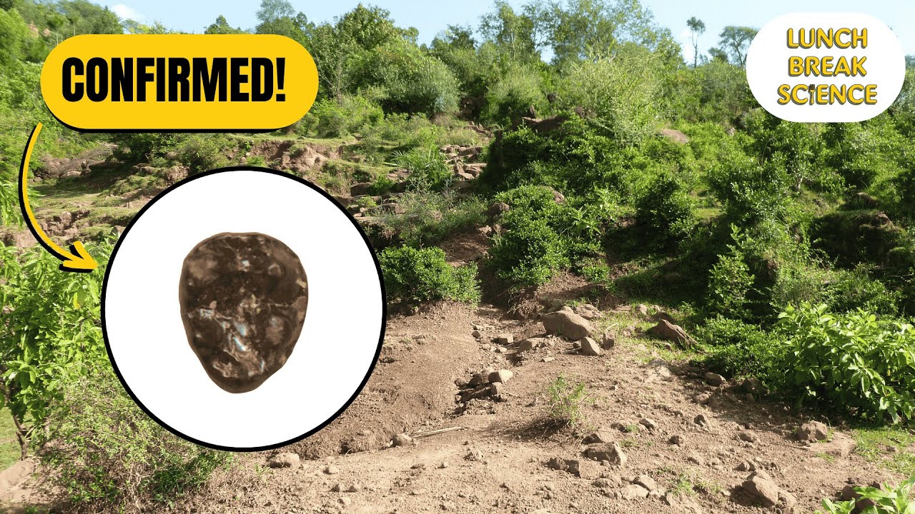 Lunch Break Science - The Leakey Foundation