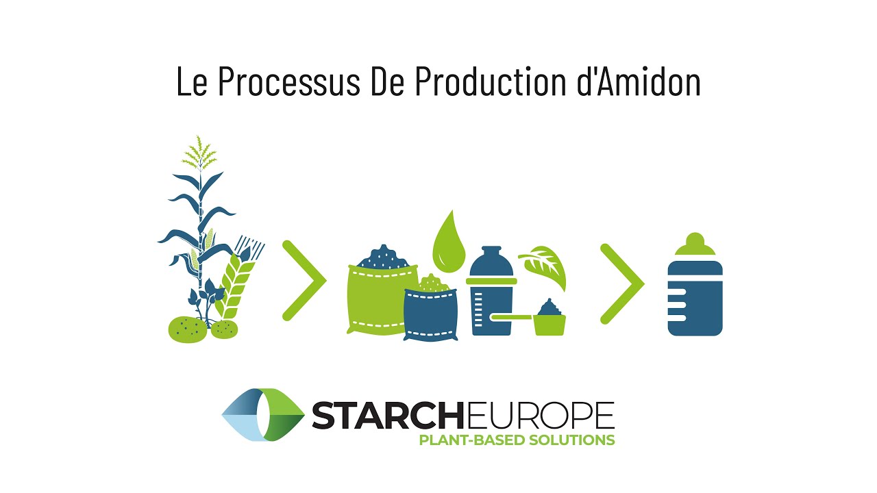 Le Processus De Production d'Amidon - YouTube