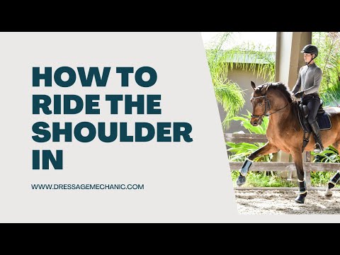How to ride the shoulder in with Dressage Mechanic, Leif Aho