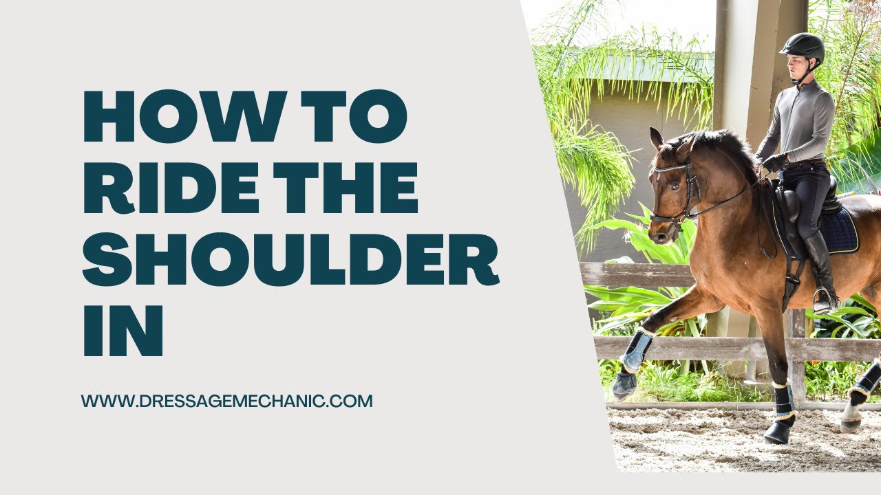 How to ride the shoulder in with Dressage Mechanic, Leif Aho - YouTube