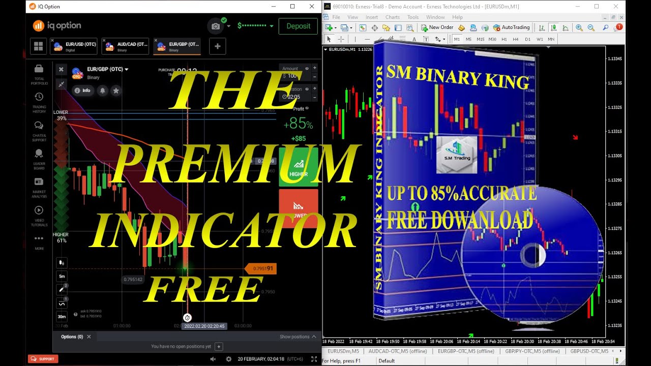 SM BINARY KING The Best VIP Binary Options Indicator! free DOWNLOAD 90% ...