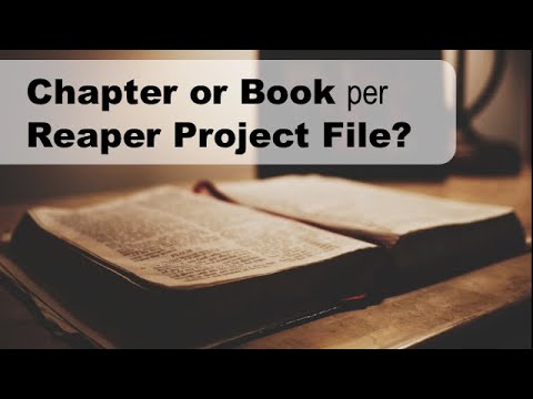 Why We Record an Entire Book in a Single Reaper File - YouTube