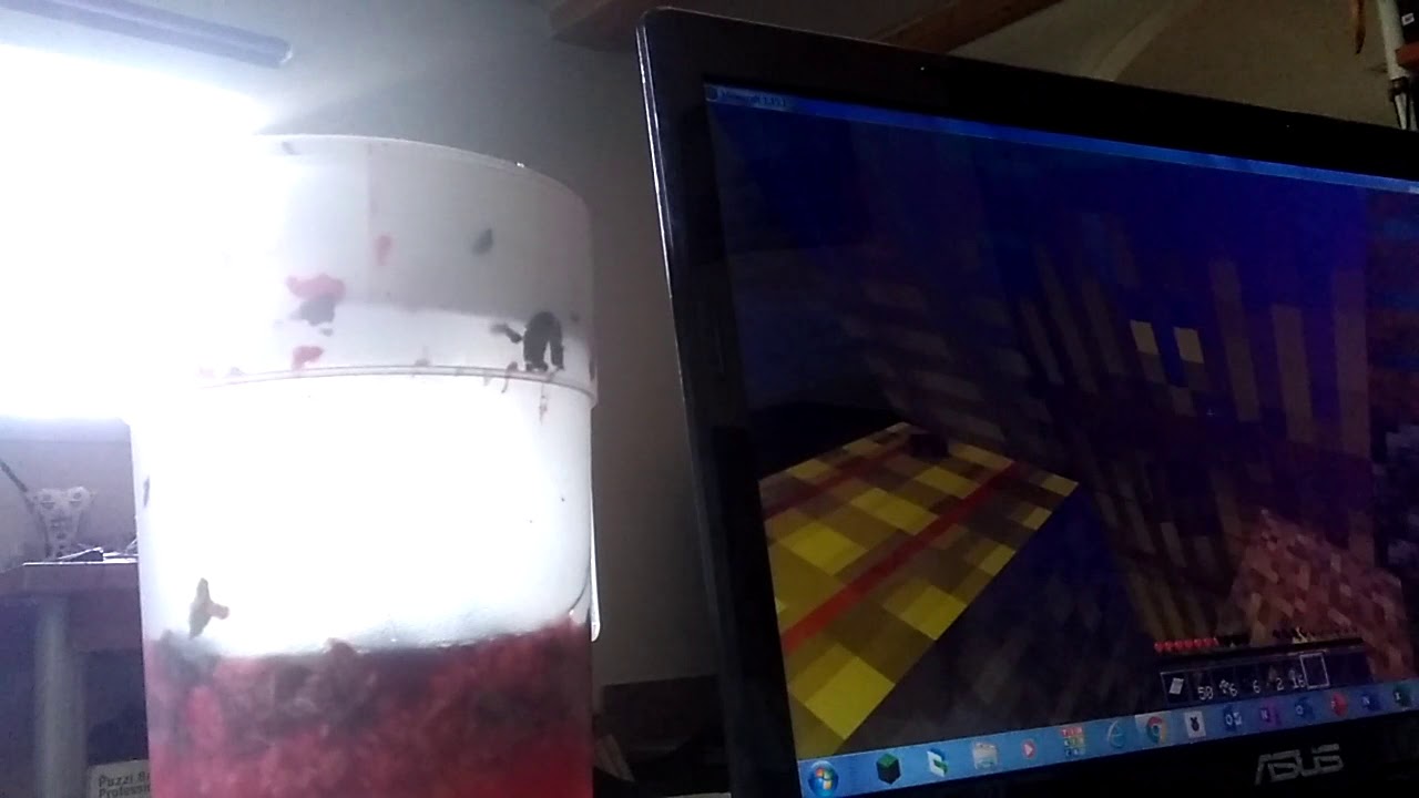 Hrahu minecraft poprvé na youtube - YouTube