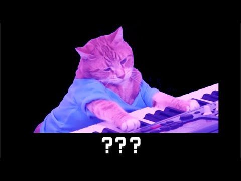 15 "Piano Cat" Sound Variations in 60 Seconds - YouTube