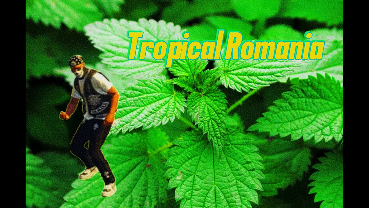 Live pe Tropical Romania - YouTube