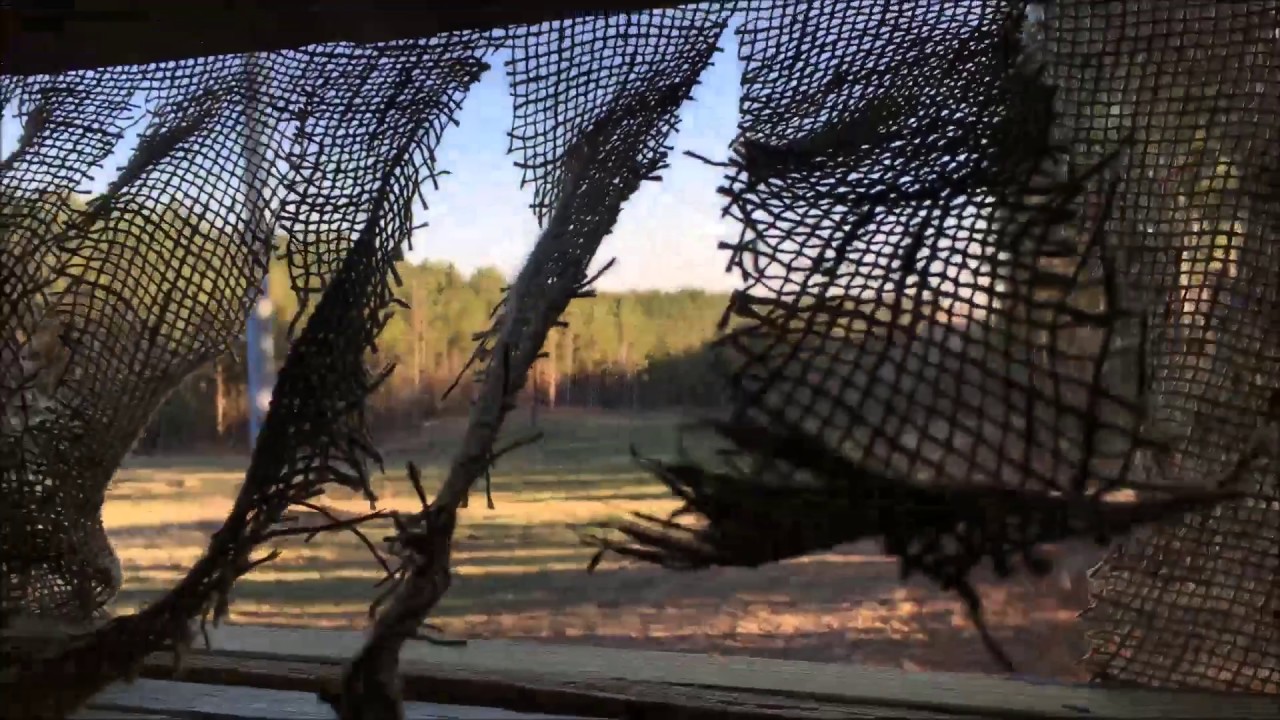 Hunting the Powerline - YouTube