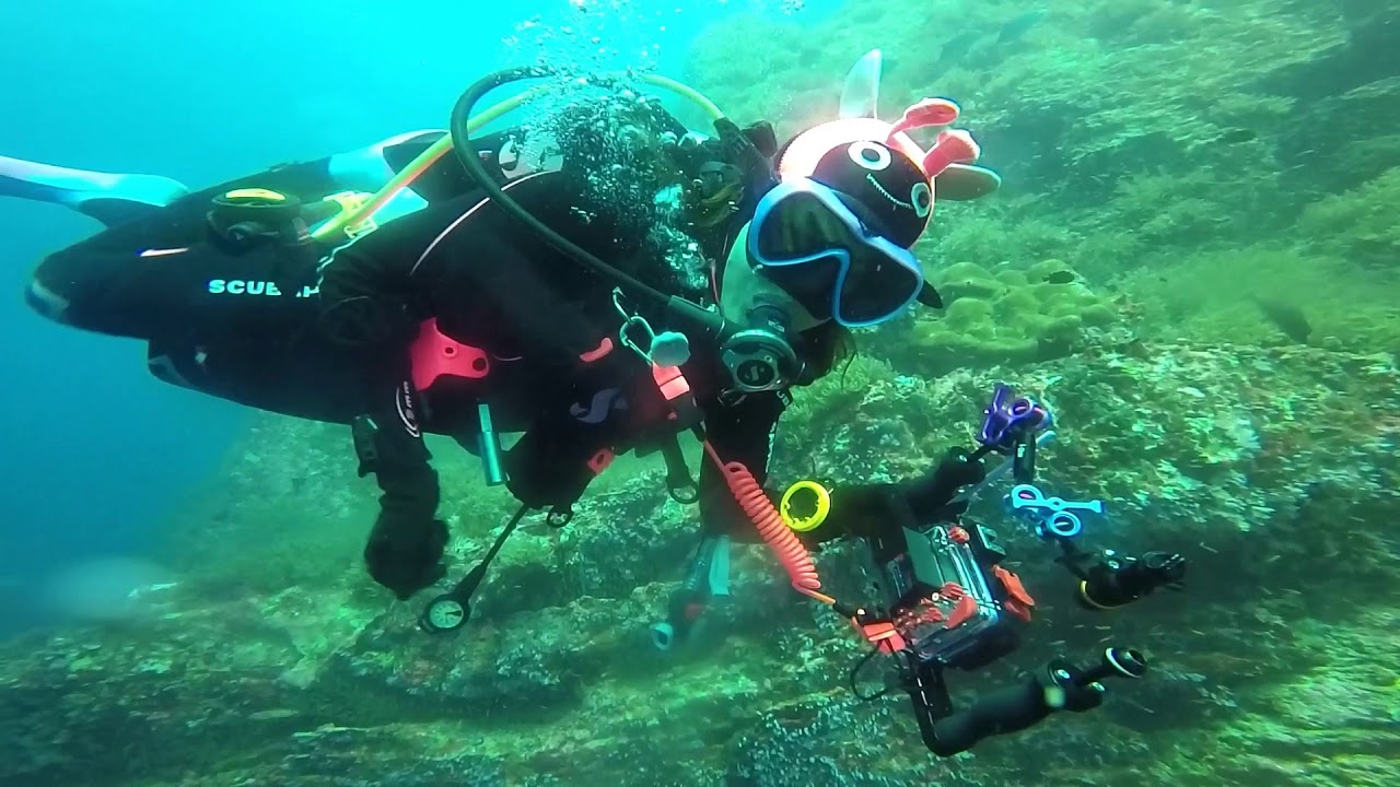 Sign Scuba Similan Trip 2 Dec 2018 dive site : Koh Bon Water Fall Thank ...