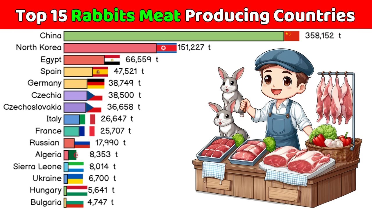 Top 15 Rabbits Meat Producing Countries in the World - YouTube