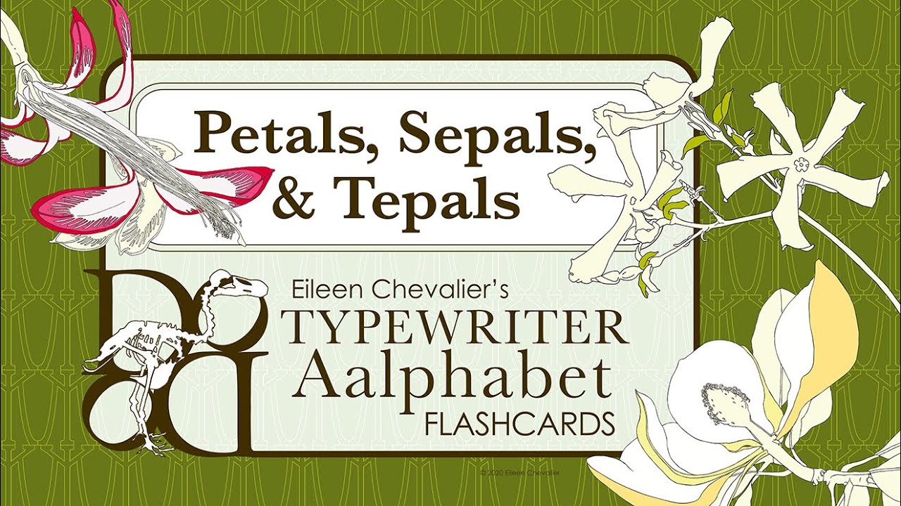 16 Petals, Sepals, & Tepals - YouTube