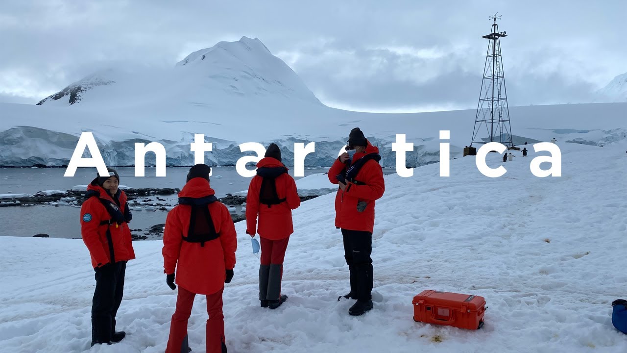 Antarctica Unveiled: A Journey to the Bottom of the World - YouTube