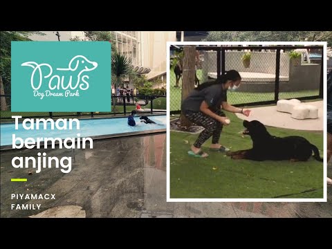PAWS dog dream park -- Mall Kelapa Gading - YouTube