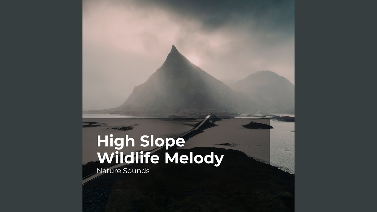 Rhythmic River Flows - YouTube