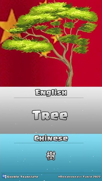 Tree in different languages - YouTube