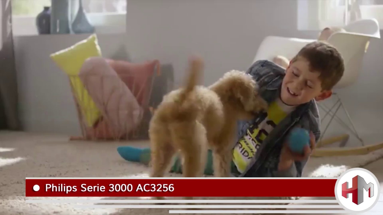 Comparativa Purificadores de aire WINIX Vs Philips Vs Rowenta - YouTube