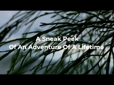 Let's #GetCloserInModernCamping Cemara Terrace Feel The Experience ...