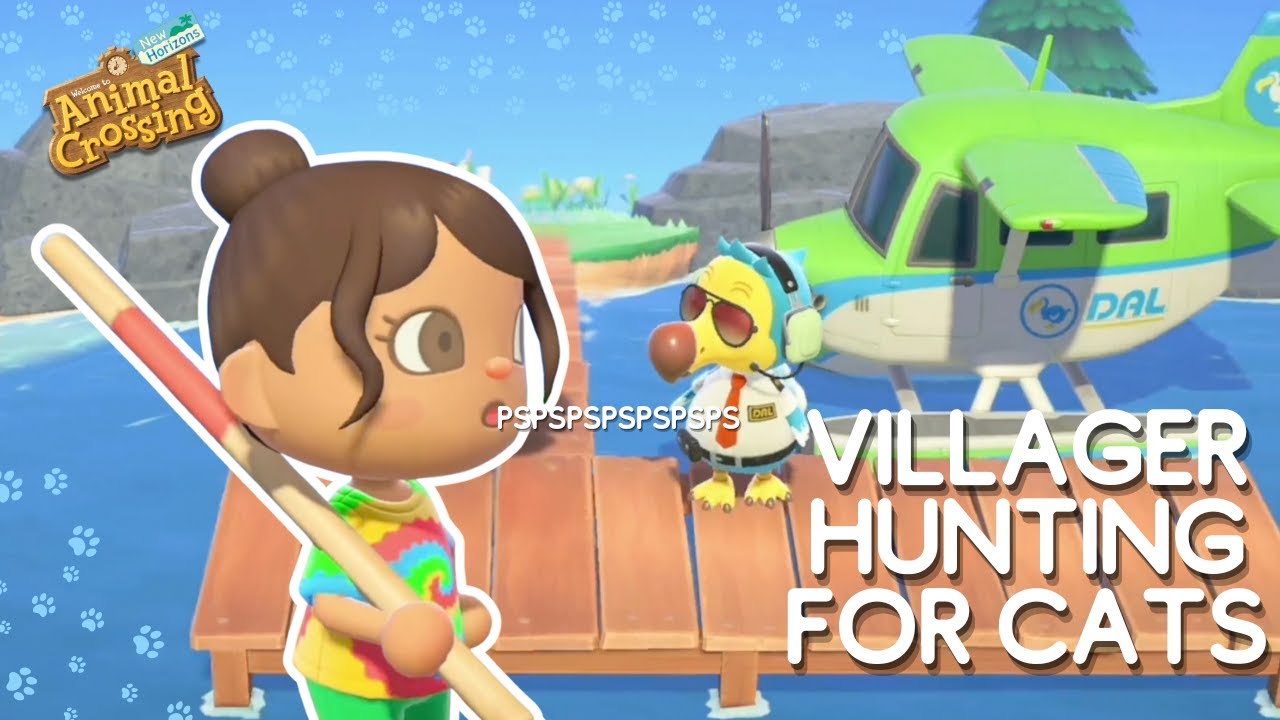 Villager Hunting For Cats | ACNH Villager Hunt | Animal Crossing New ...