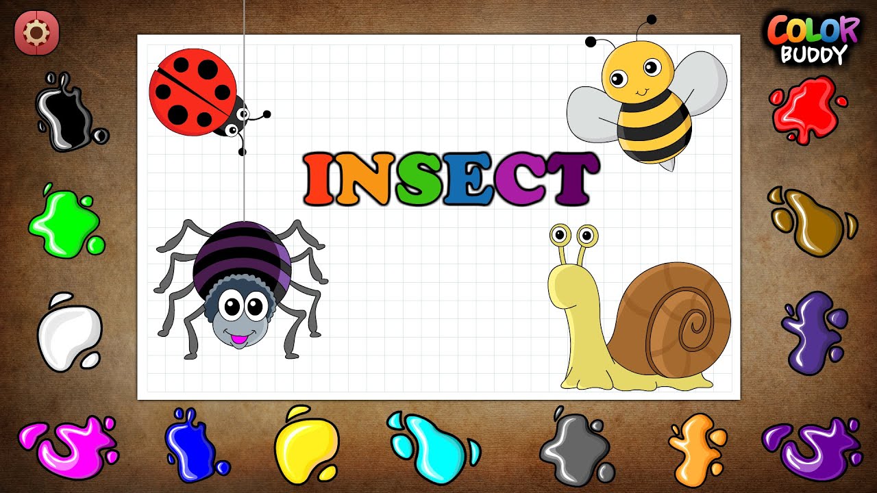 Color buddy - Insect funny - YouTube