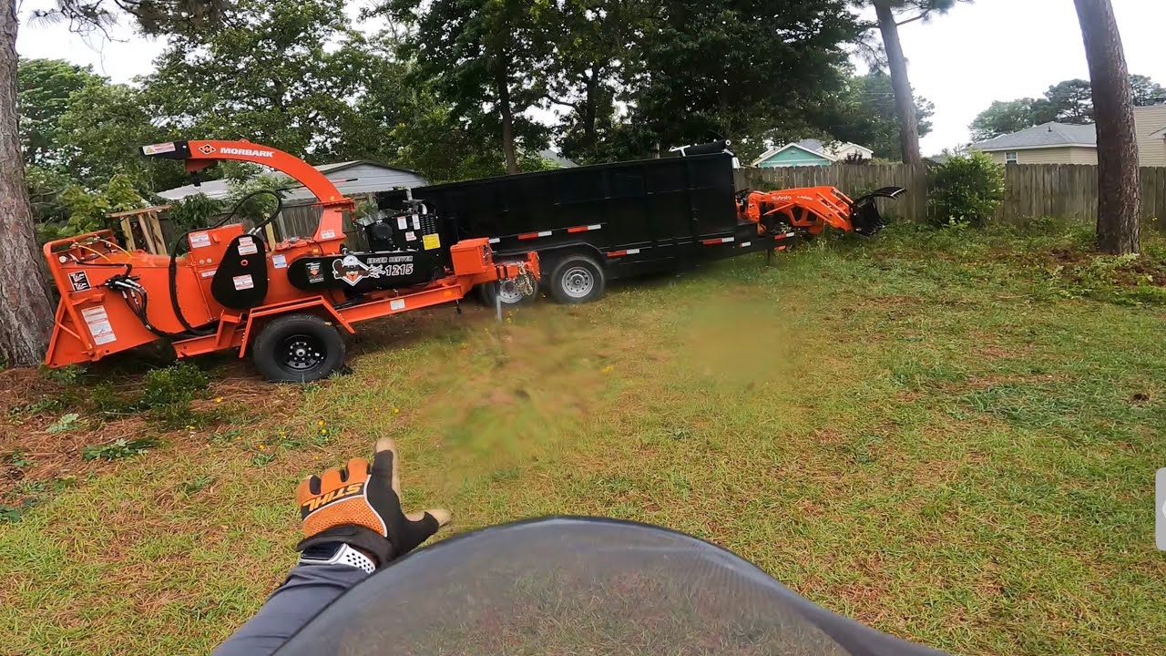 Removing Seven (7) Pine Trees/Backyard Makeover #ZML EHC Pressure ...